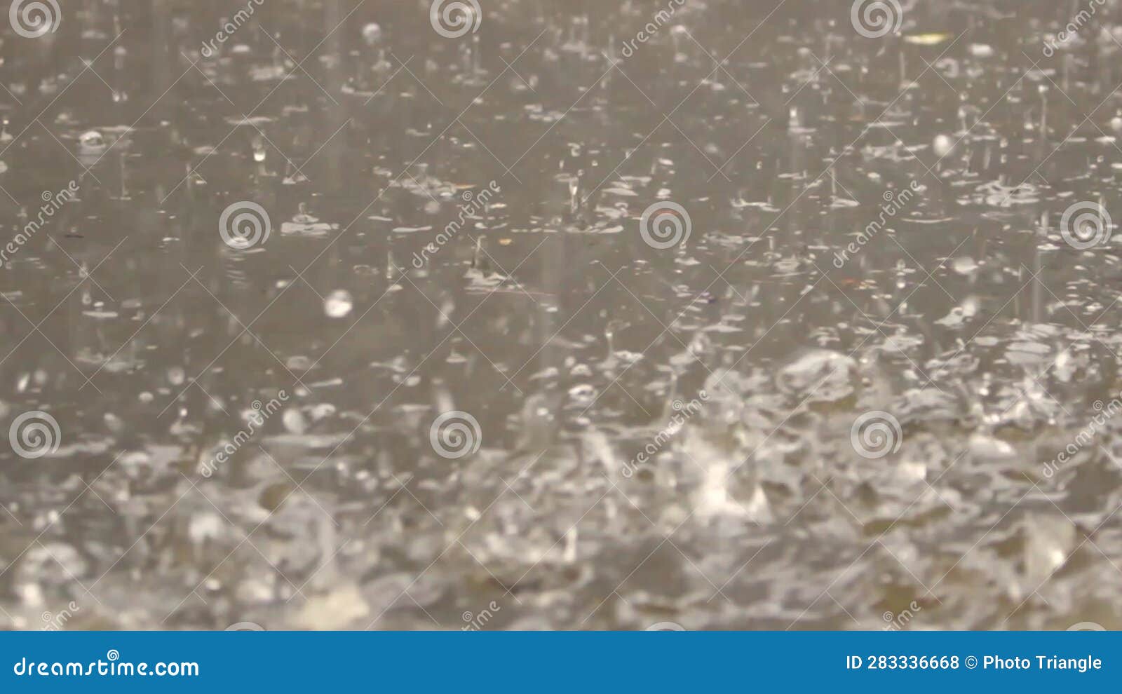 The Raindrops Dripping into the Puddle in Front of the House Stock ...