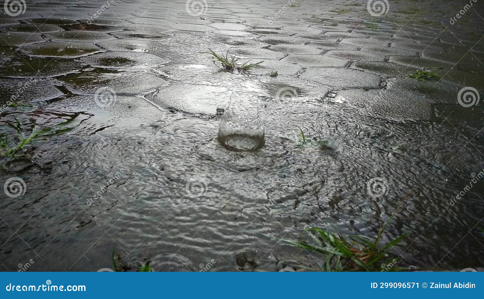 Raindrops fall on the lawn stock image. Image of fall - 299096571