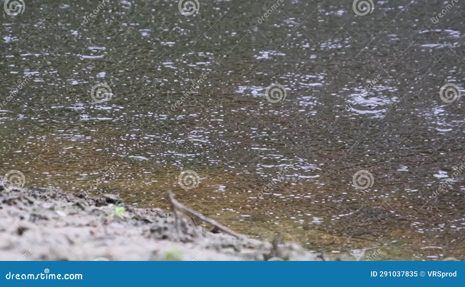 Raindrops Fall on the River Surface with Bubbles in Summer Slow Motion ...