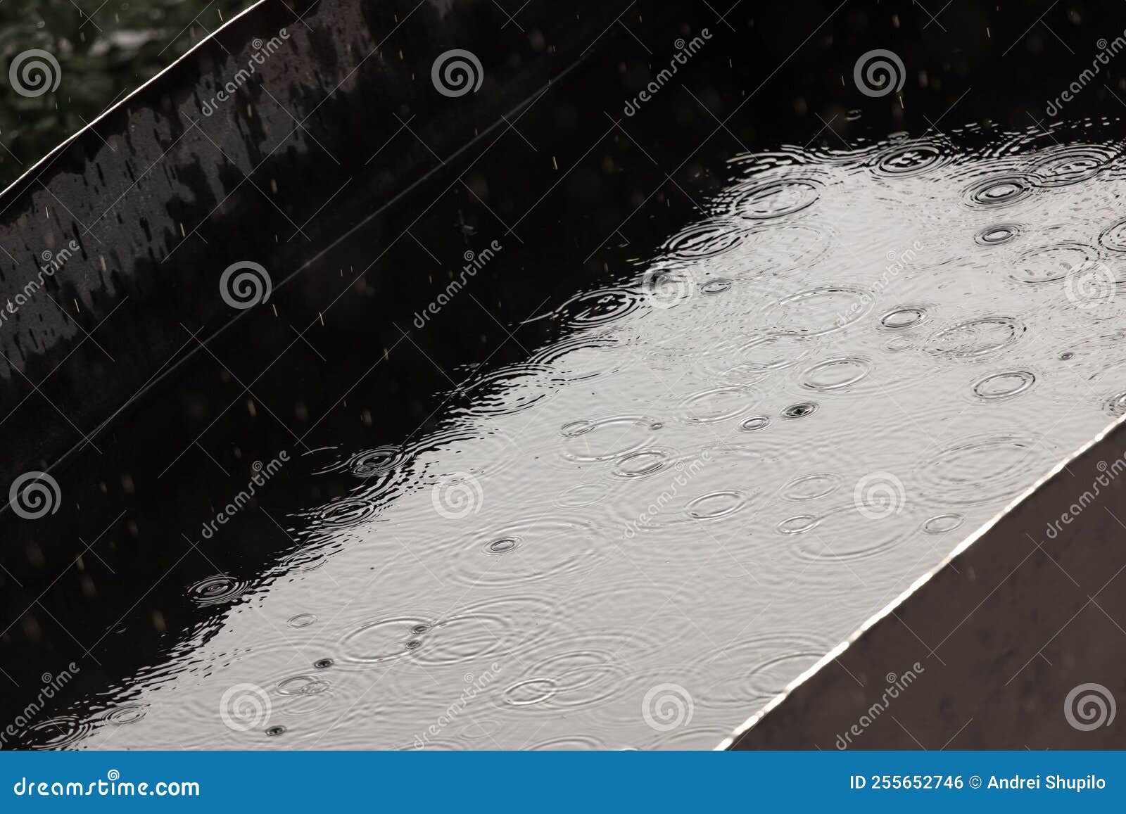 Raindrops Fall on the Surface of the Water in the Pool. Stock Photo ...