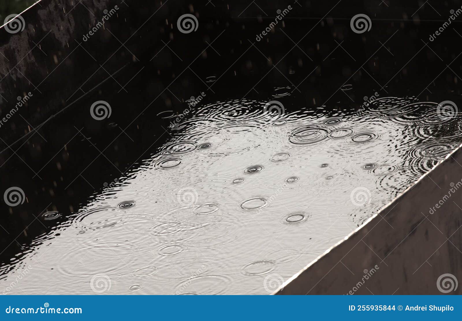 Raindrops Fall on the Surface of the Water in the Pool. Stock Photo ...