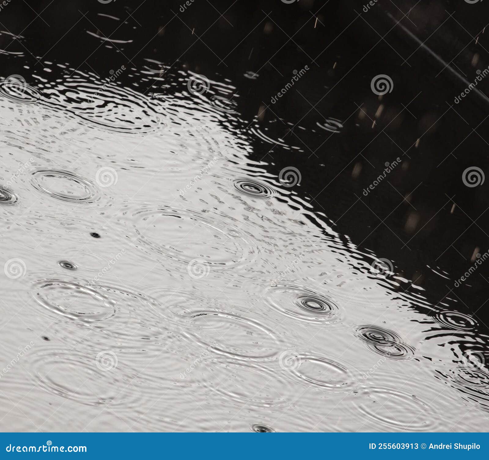 Raindrops Fall on the Surface of the Water in the Pool. Stock Image ...