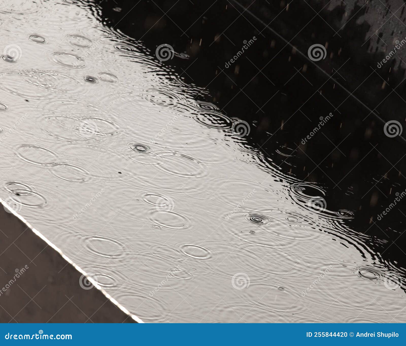 Raindrops Fall on the Surface of the Water in the Pool. Stock Photo ...