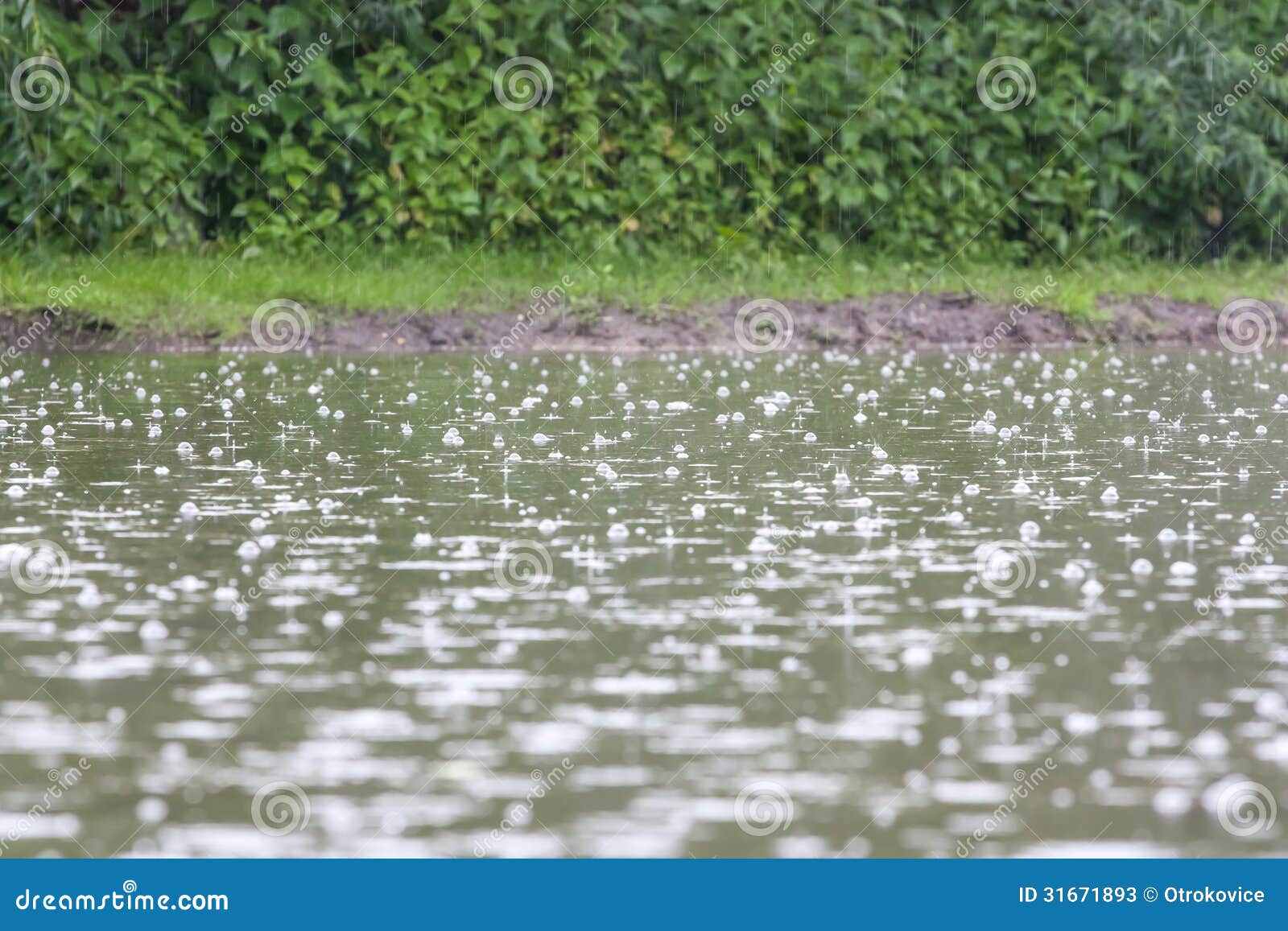 Raindrops stock image. Image of weather, drop, surface - 31671893