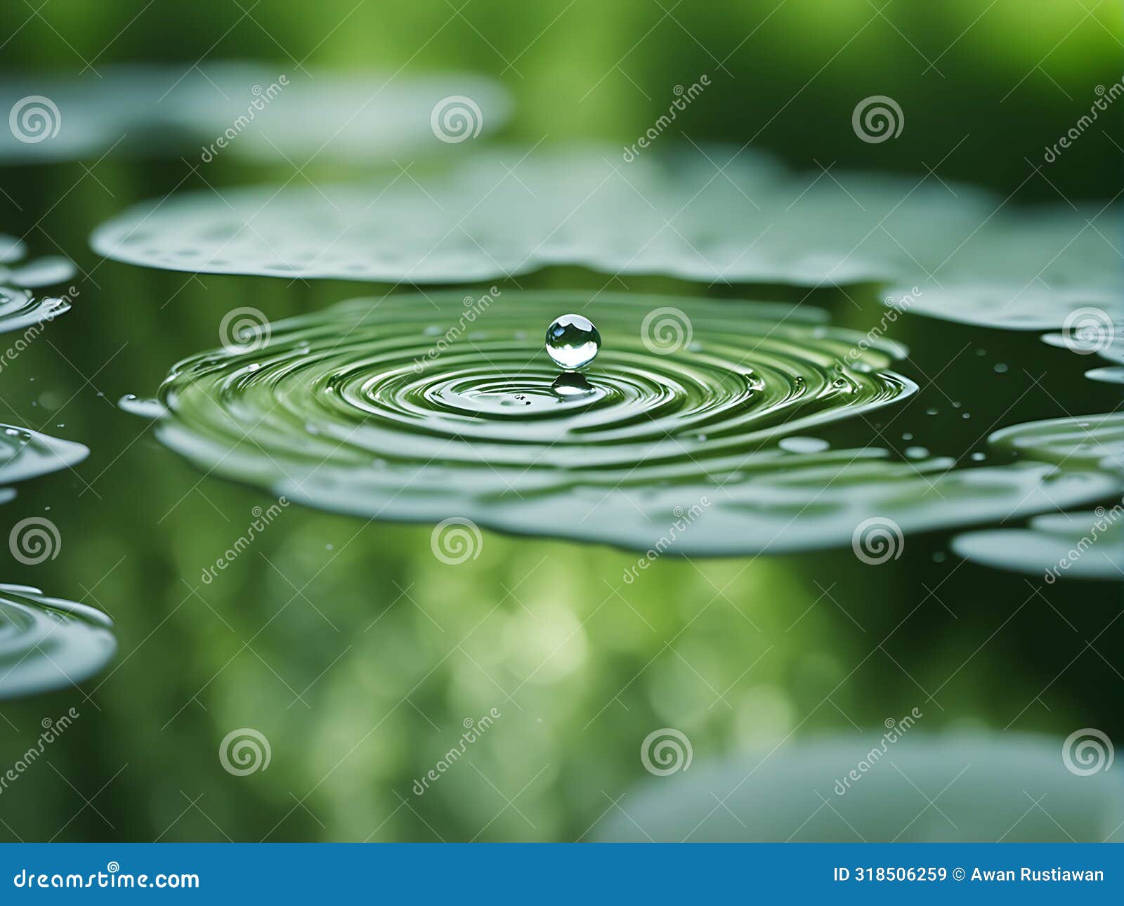 Raindrops Falling into Puddle, Creating Ripples for Website Background ...