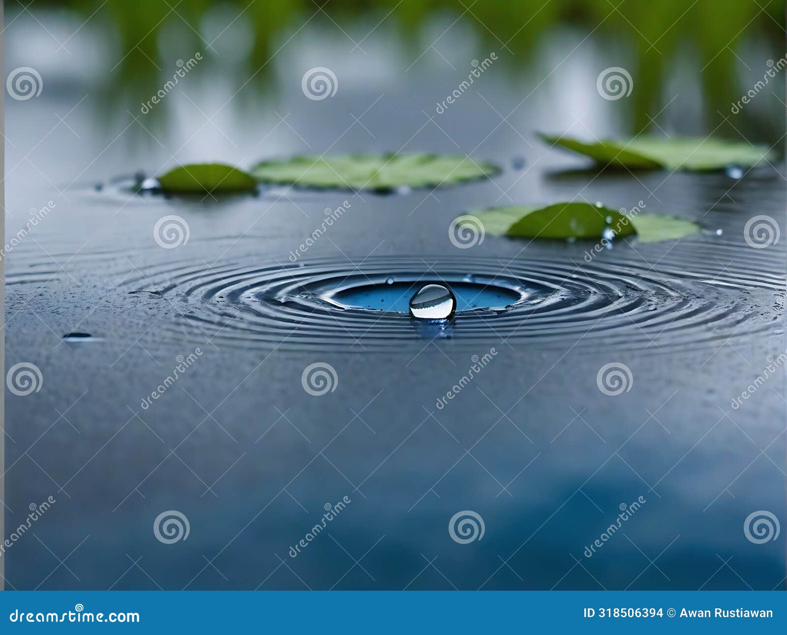 Raindrops Falling into Puddle, Creating Ripples for Website Background ...