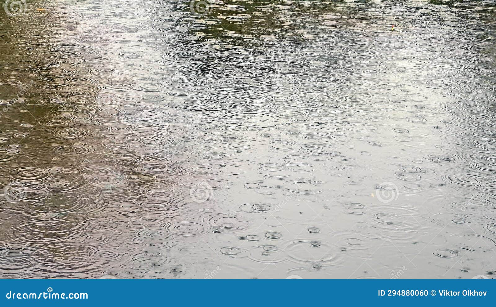 Raindrops Falling into Water. on a Cloudy Day, Rain Falls into the ...