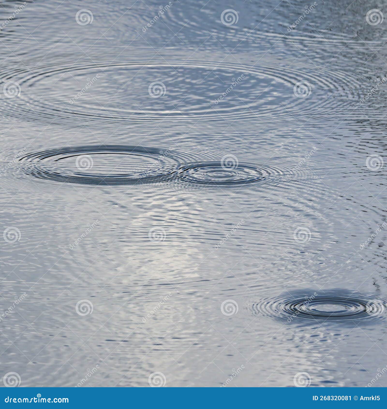 Raindrops Form Rings in a Puddle Stock Image - Image of rain, space ...