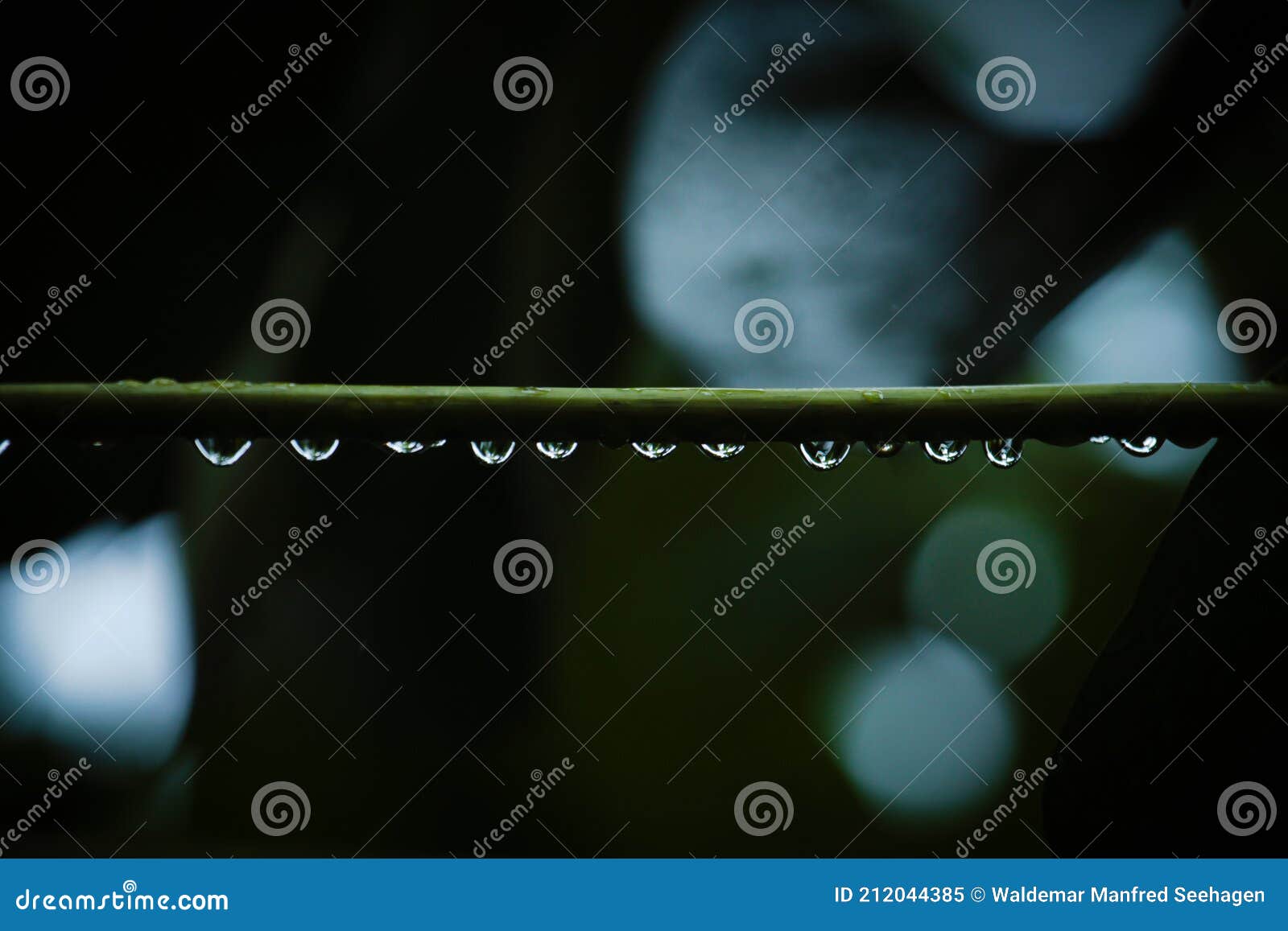 Raindrops with Green Reflections. Stock Image - Image of climate ...