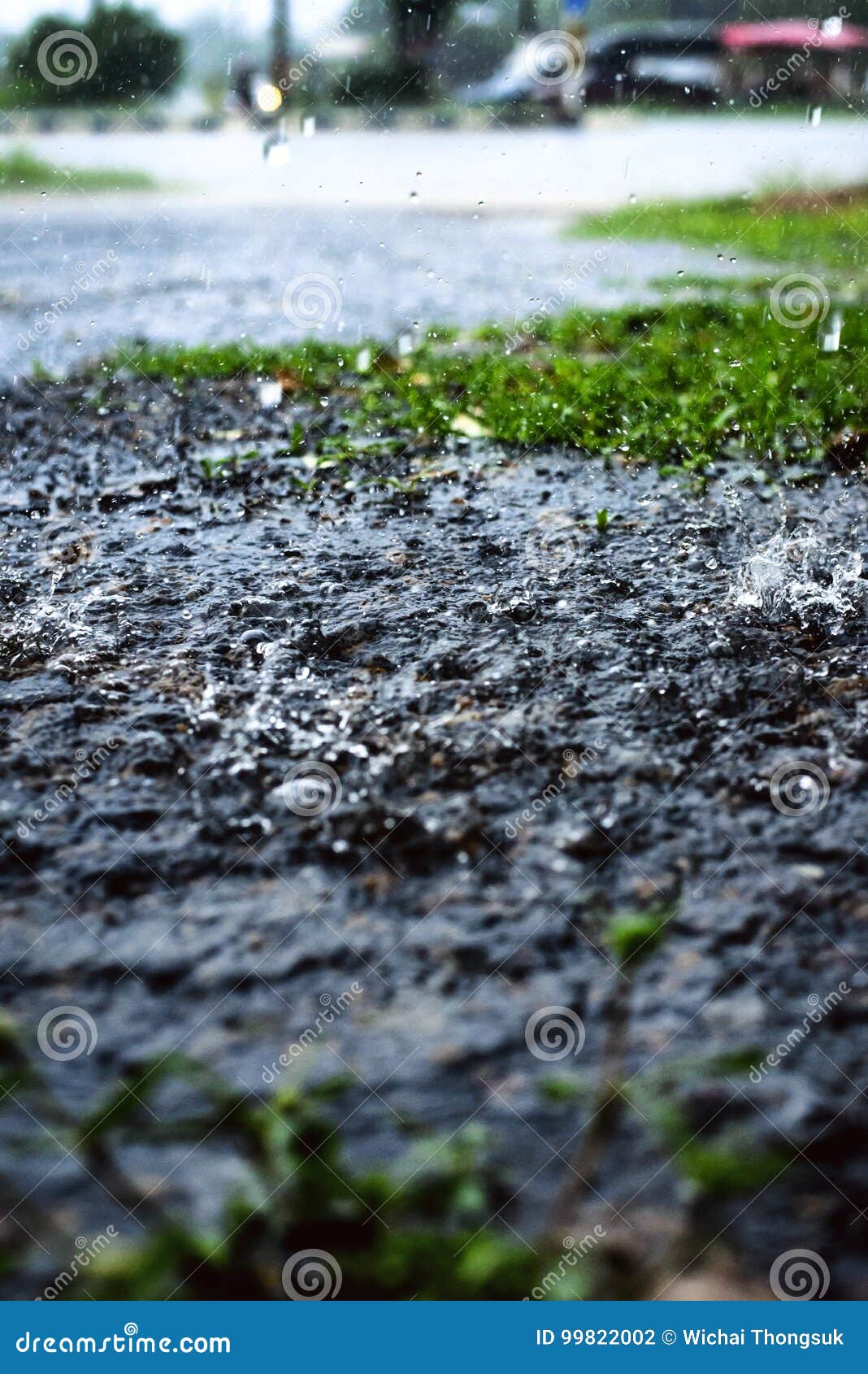 Raindrops on the Ground at Home Stock Photo - Image of rainy, fall ...