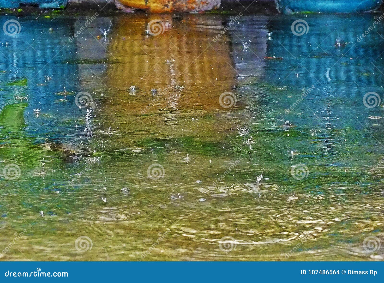 Raindrops in the ground stock photo. Image of raindrops - 107486564