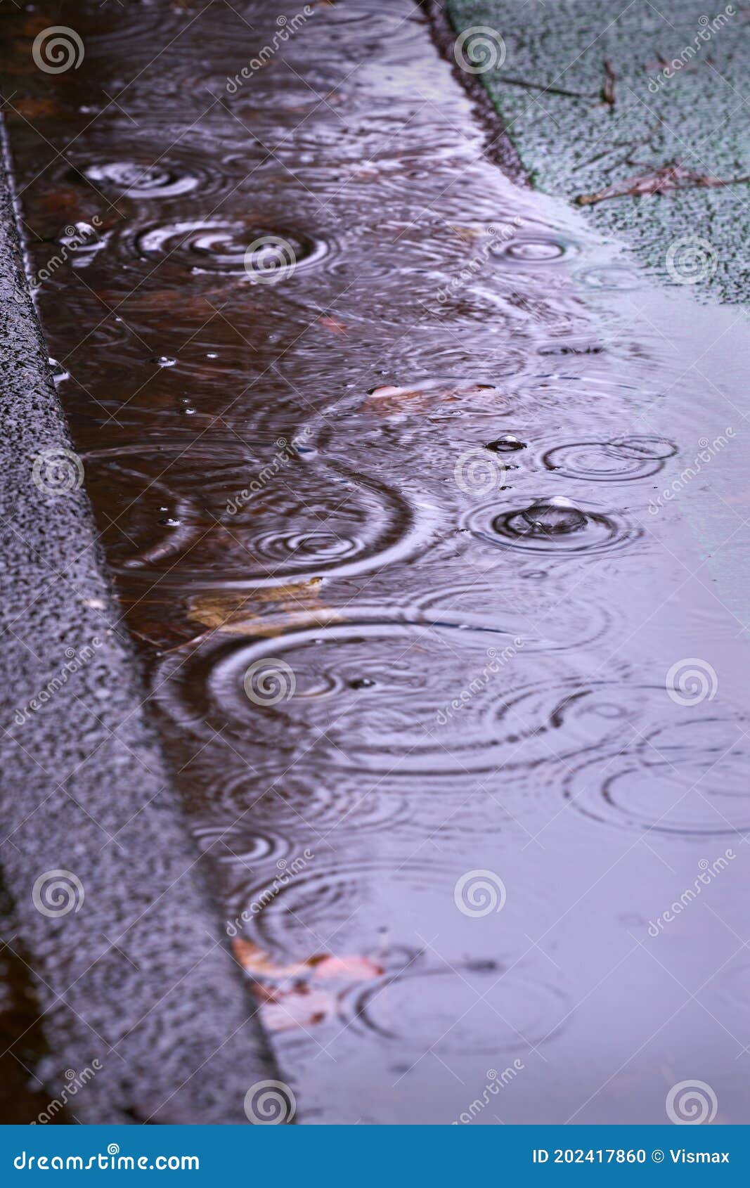 Raindrops in Gutter stock photo. Image of steel, long - 202417860