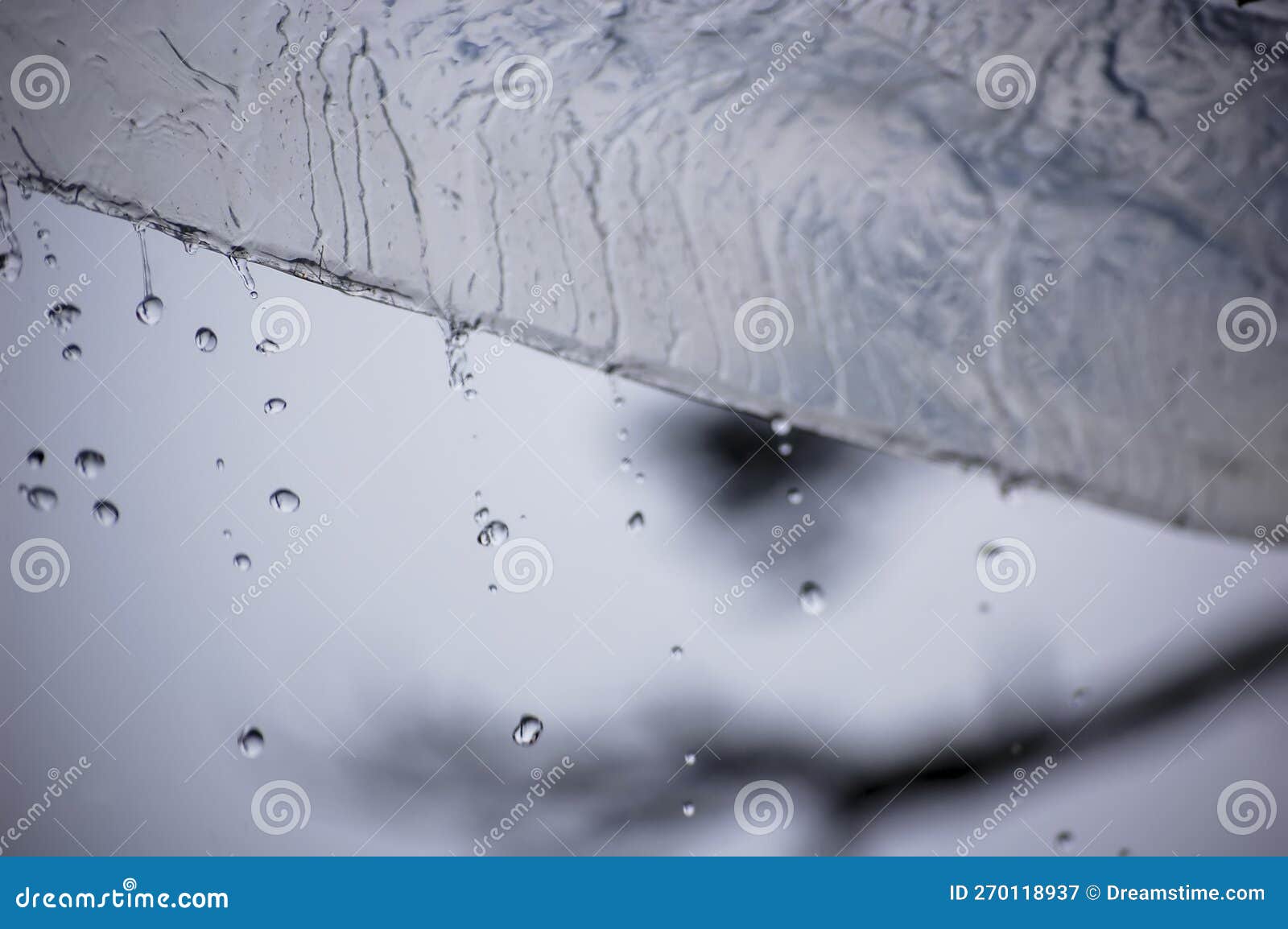 The Raindrops Hit the White Transparent Plastic Cloth Stock Image ...