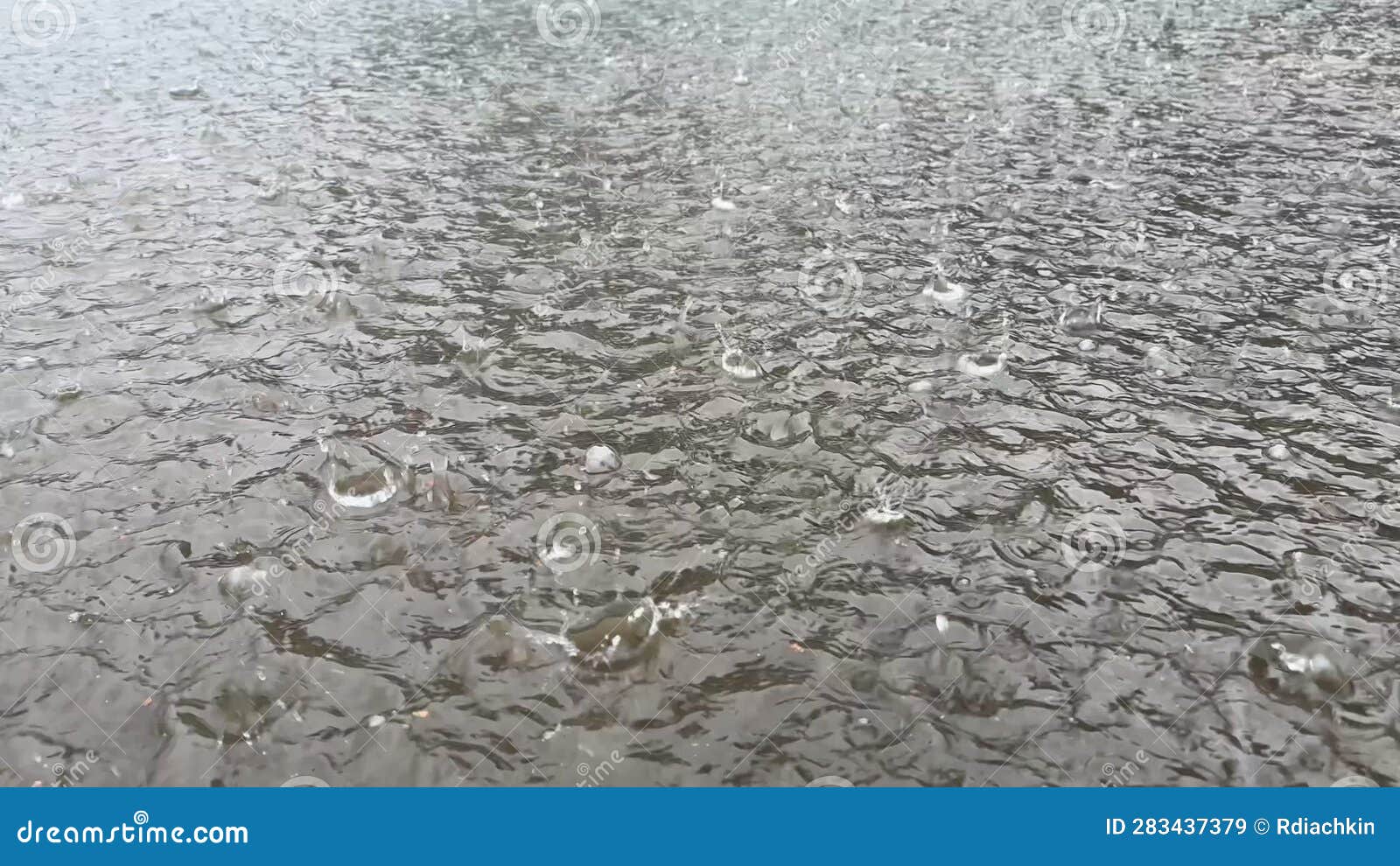 Raindrops in a Large Puddle Heavy Rain Background Stock Video - Video ...