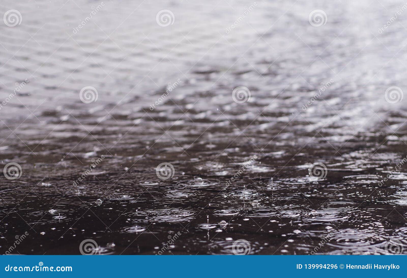 Raindrops in a Puddle Raindrops in a Puddle Stock Photo - Image of rain ...