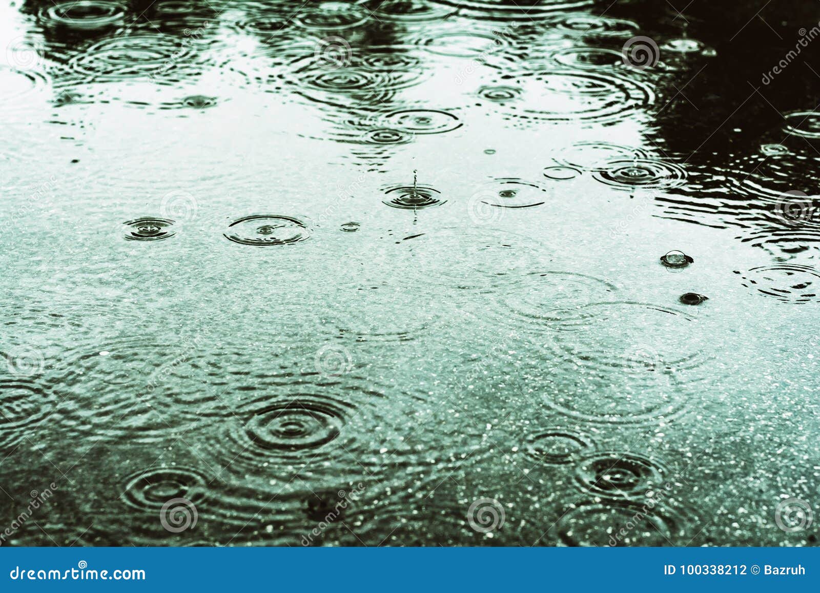 Raindrops in a puddle stock photo. Image of seasonal - 100338212