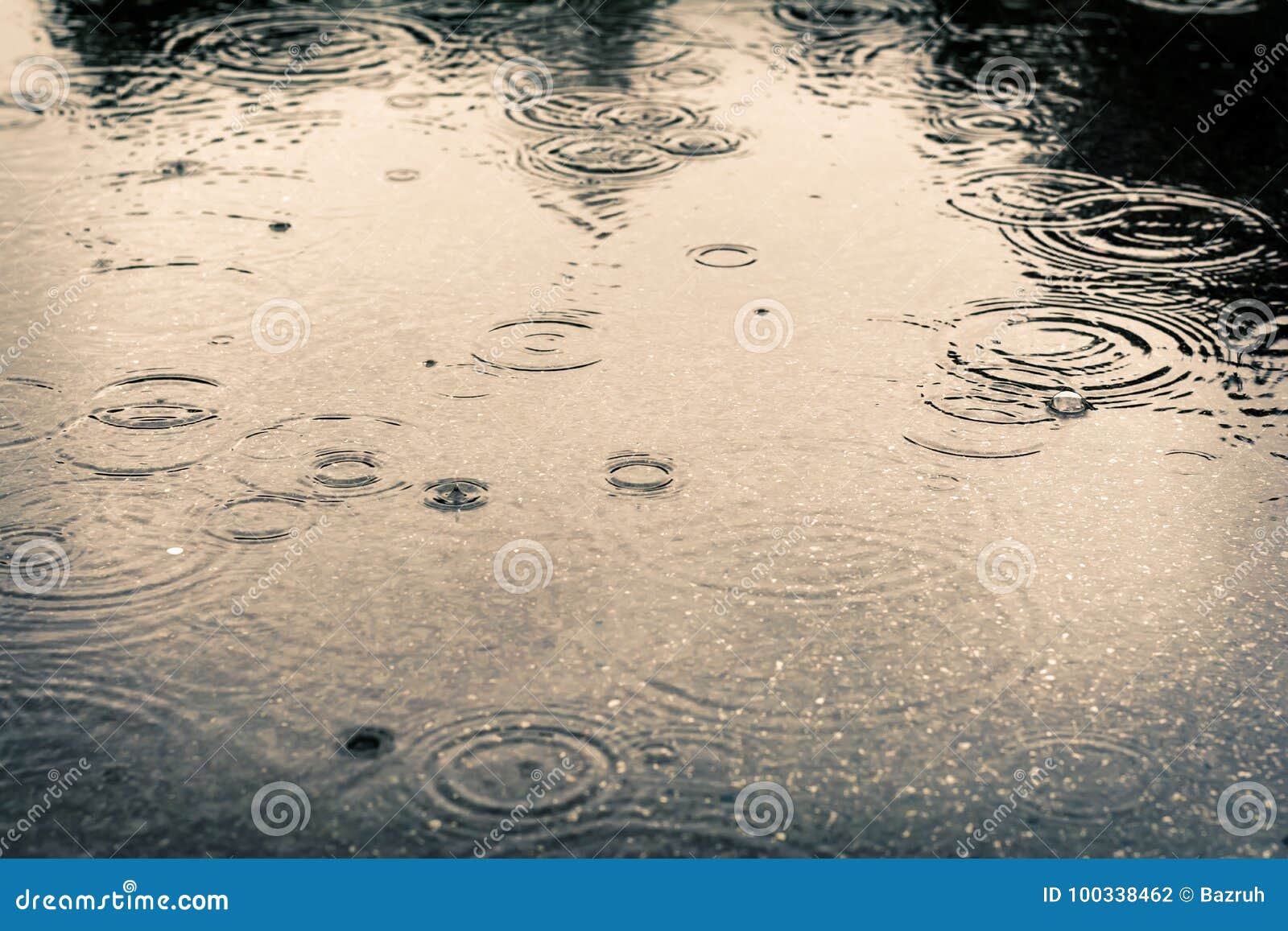 Raindrops in a puddle stock photo. Image of blue, nature - 100338462