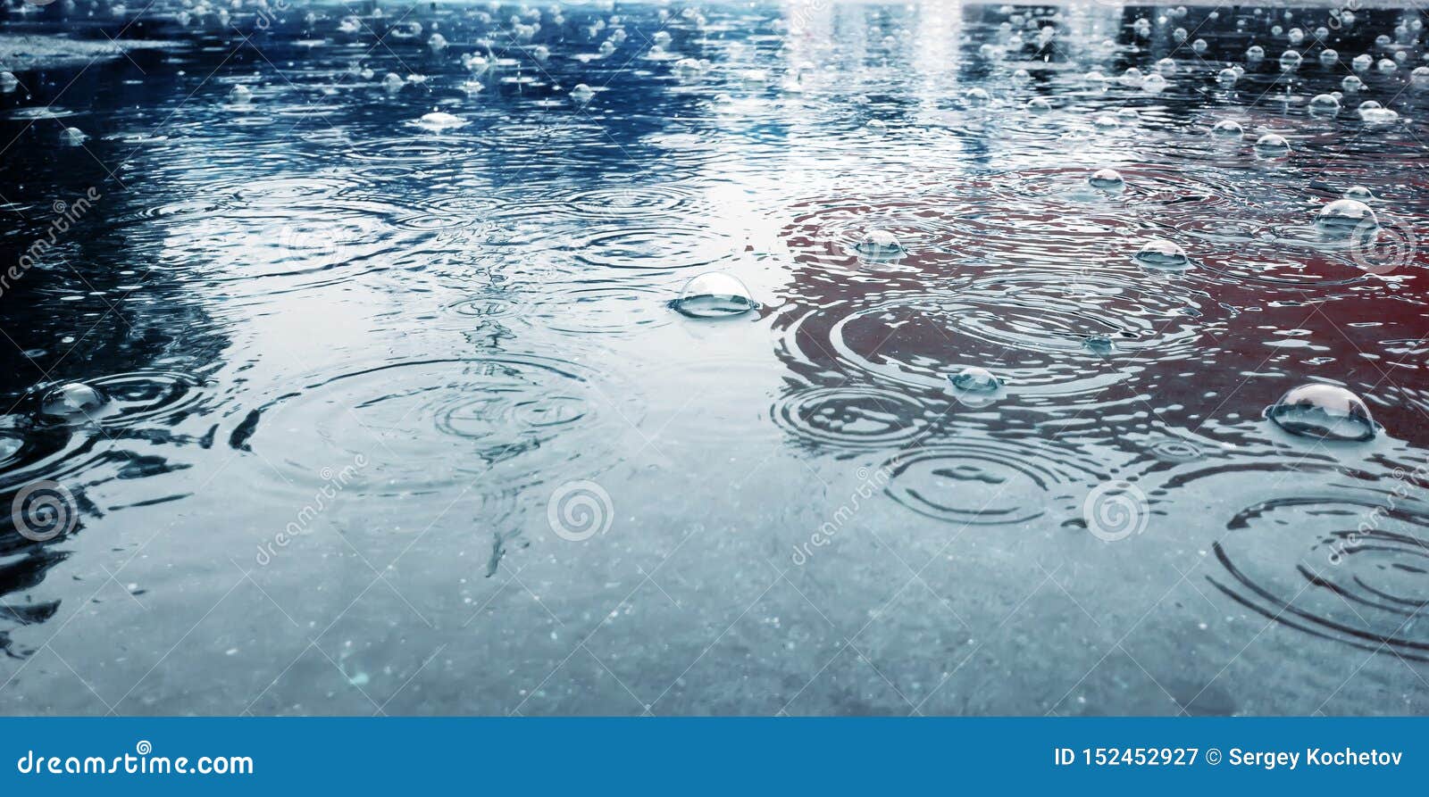 Raindrops on Puddle on Rainy Day. Autumn and Summer Background Stock ...