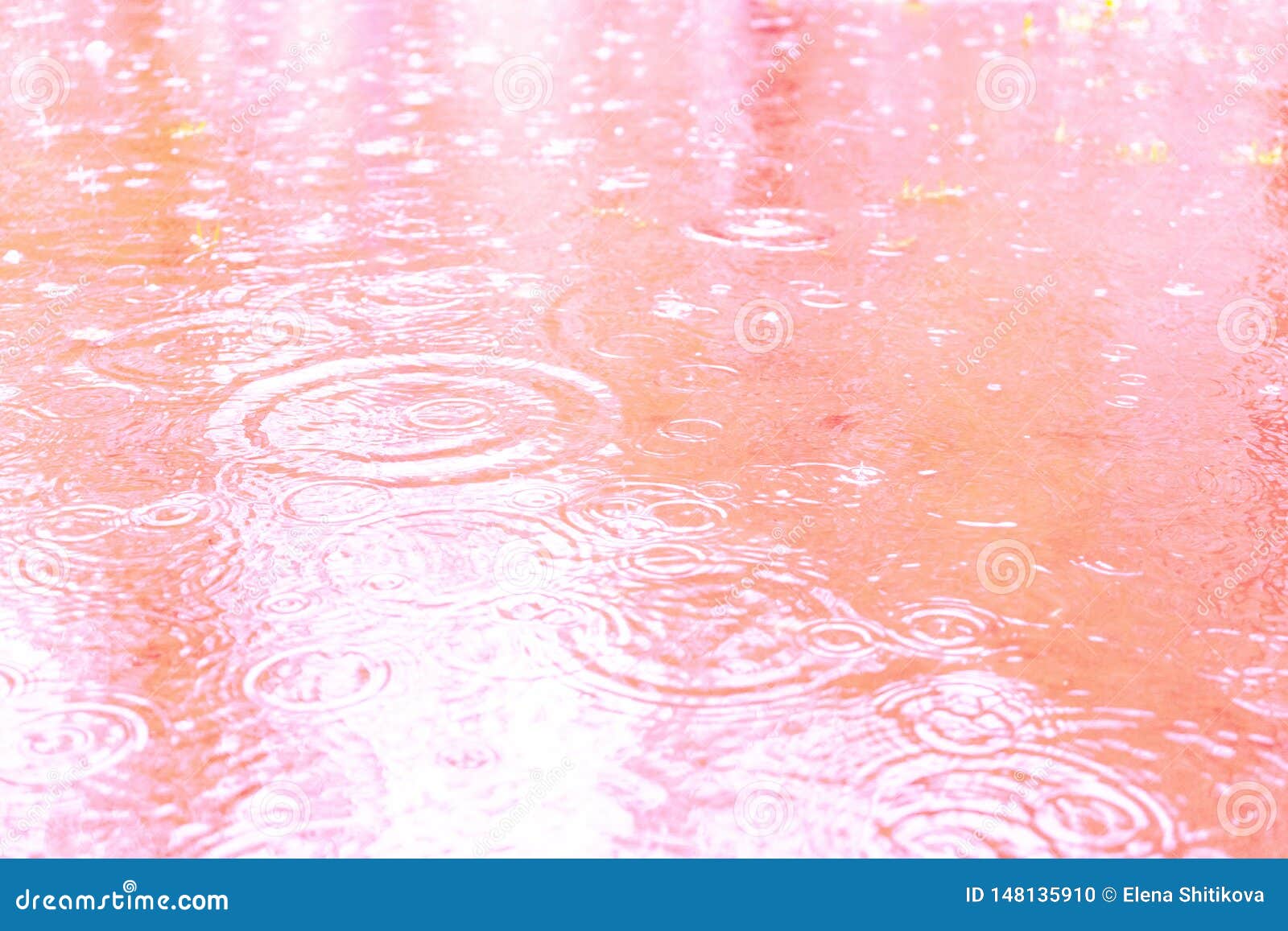 Raindrops on a Puddle on a Rainy Day. Stock Photo - Image of ripple ...