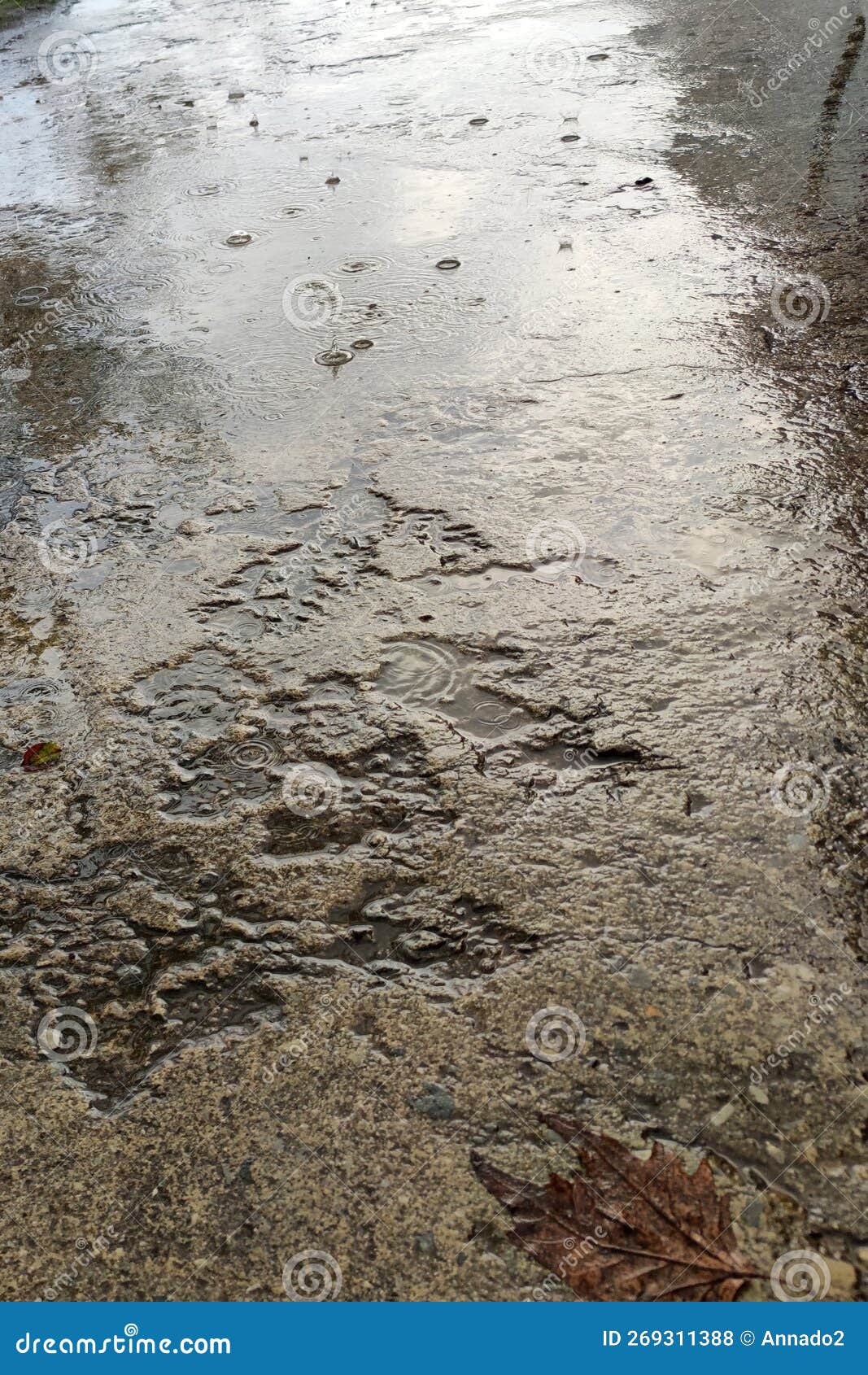 Raindrops in Puddles on the Pavement Close Up. Stock Photo - Image of ...