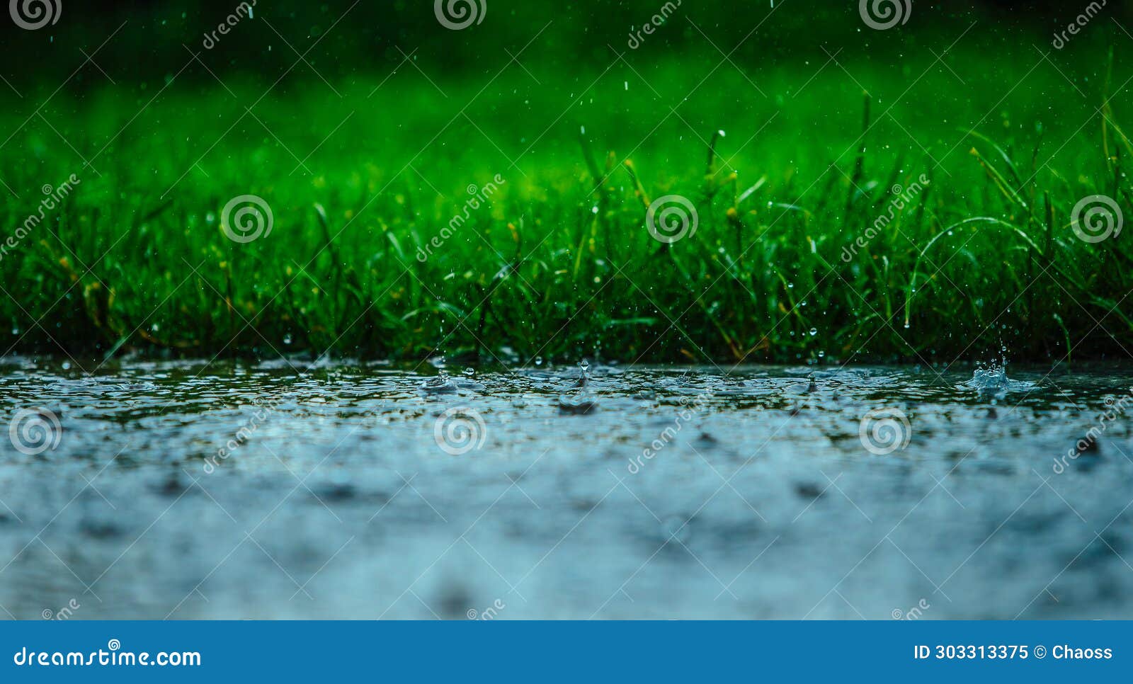 Raindrops at Rainy Day on Green Grass Background Stock Image - Image of ...