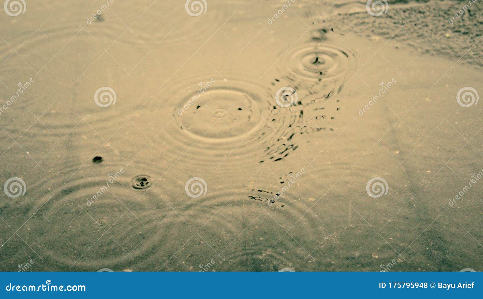 Raindrops in a Small Puddle Located on the Side of the Road Stock Photo ...