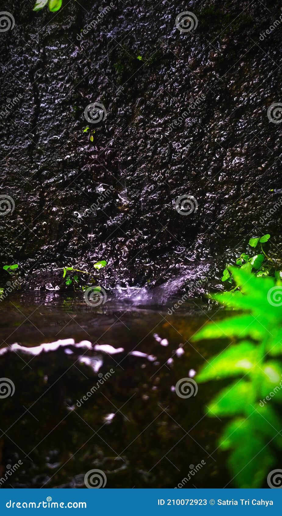 Raindrops splash stock image. Image of rain, leave, background - 210072923