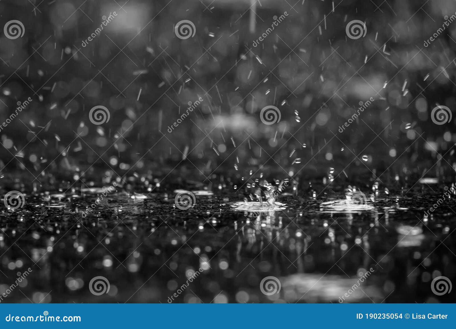 Raindrops Splashing Black and White. Stock Photo - Image of purity ...