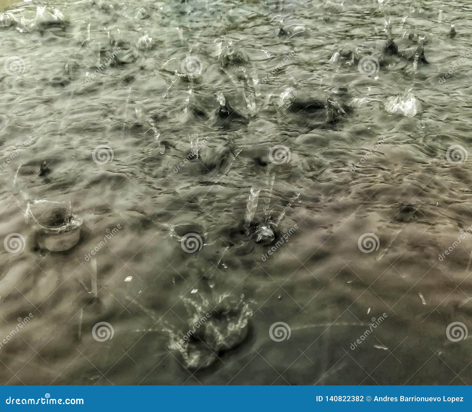 Raindrops Splashing in a Puddle Stock Photo - Image of abstract ...