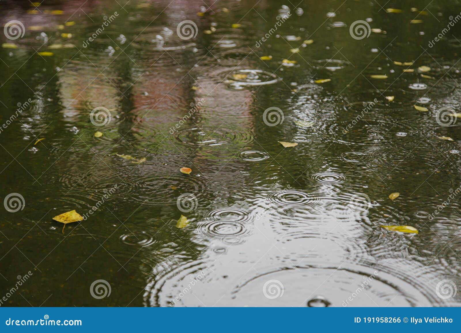 On The Surface Of The Puddle After Acidic Sulfur Rain Royalty-Free ...
