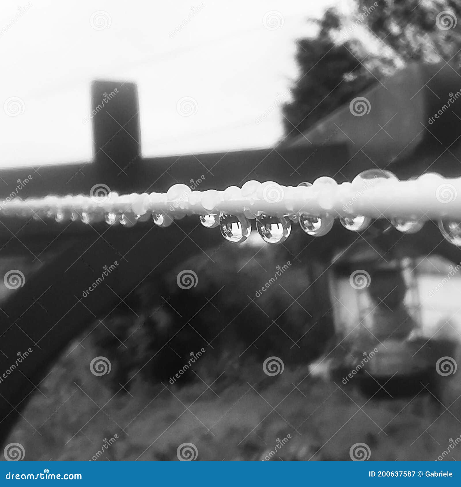 Raindrops on washing line stock image. Image of water - 200637587