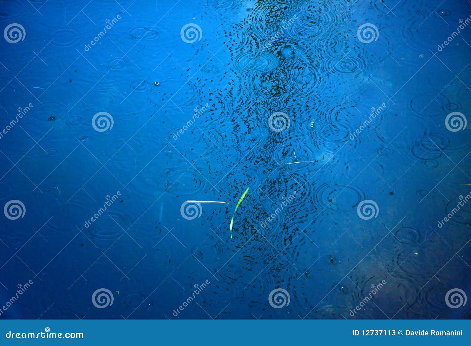 Raindrops on the water stock image. Image of lake, blue - 12737113