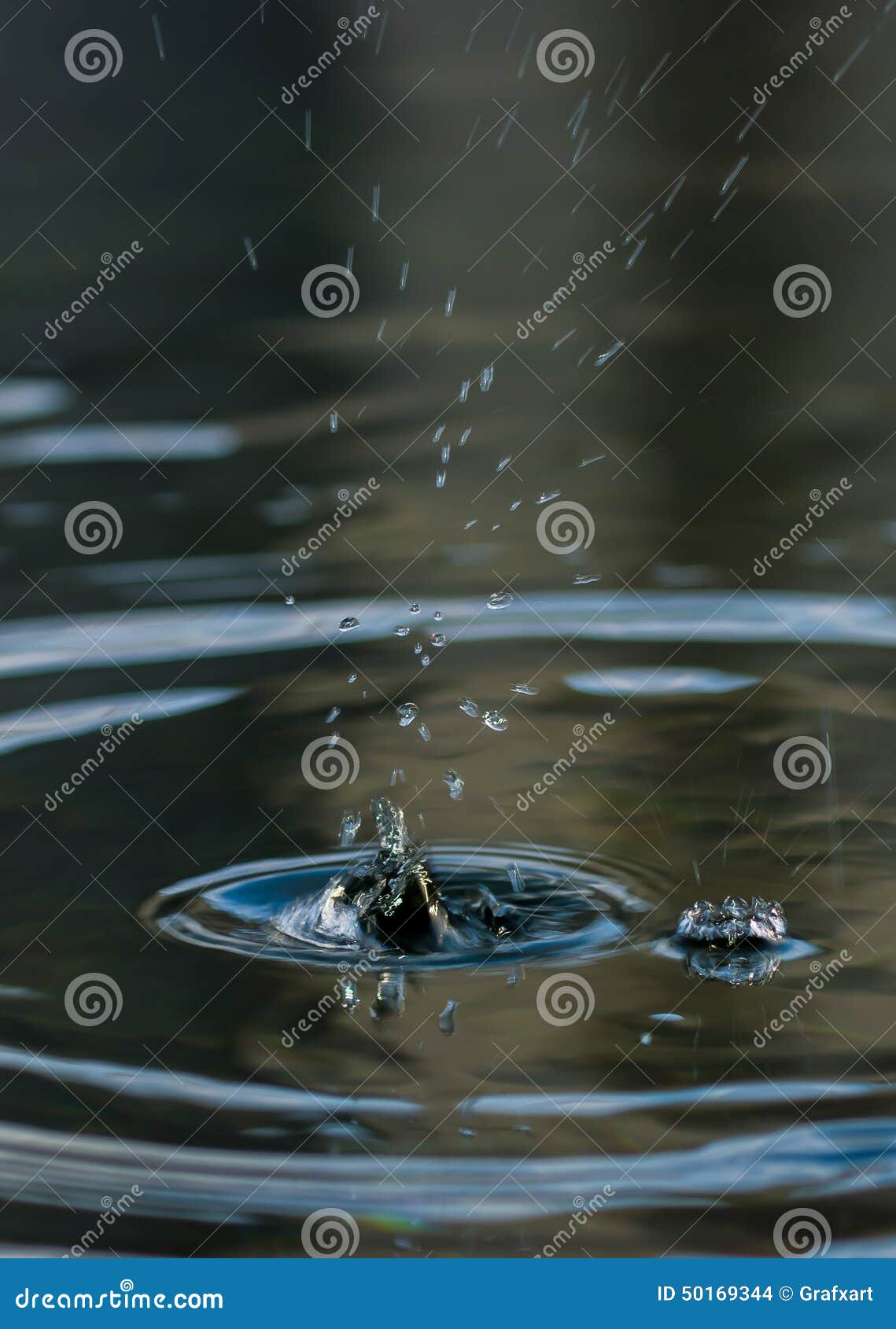 Raindrops in Water stock photo. Image of bubble, motion - 50169344