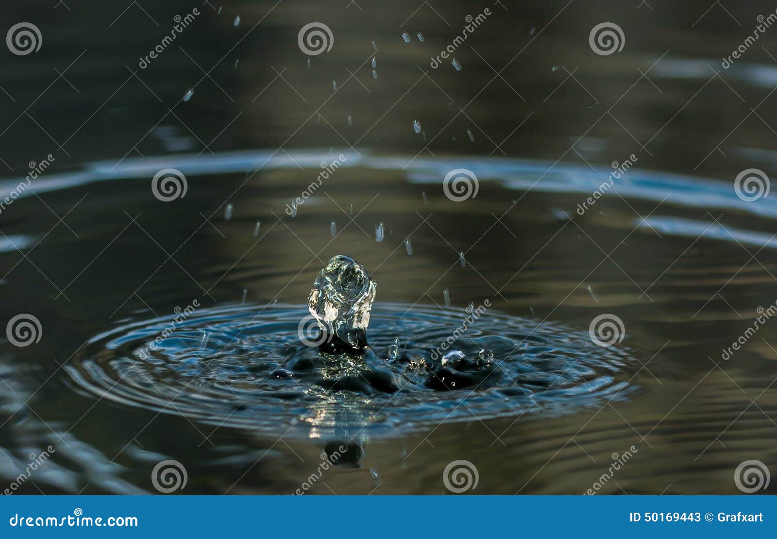 Raindrops in Water stock image. Image of bathing, refreshing - 50169443