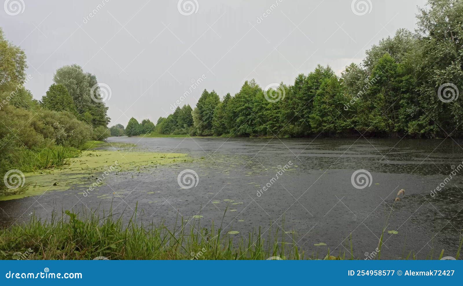 Raindrops on the Water Surface. Rain on River Stock Video - Video of ...