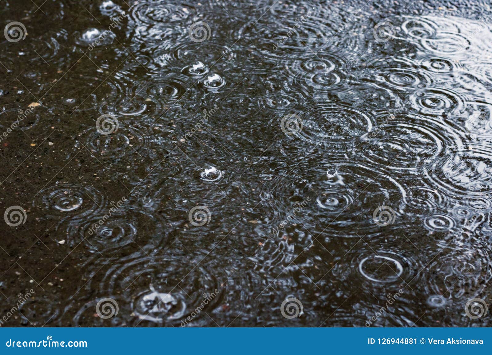 Raindrops on the Water Surface Stock Image - Image of nature ...