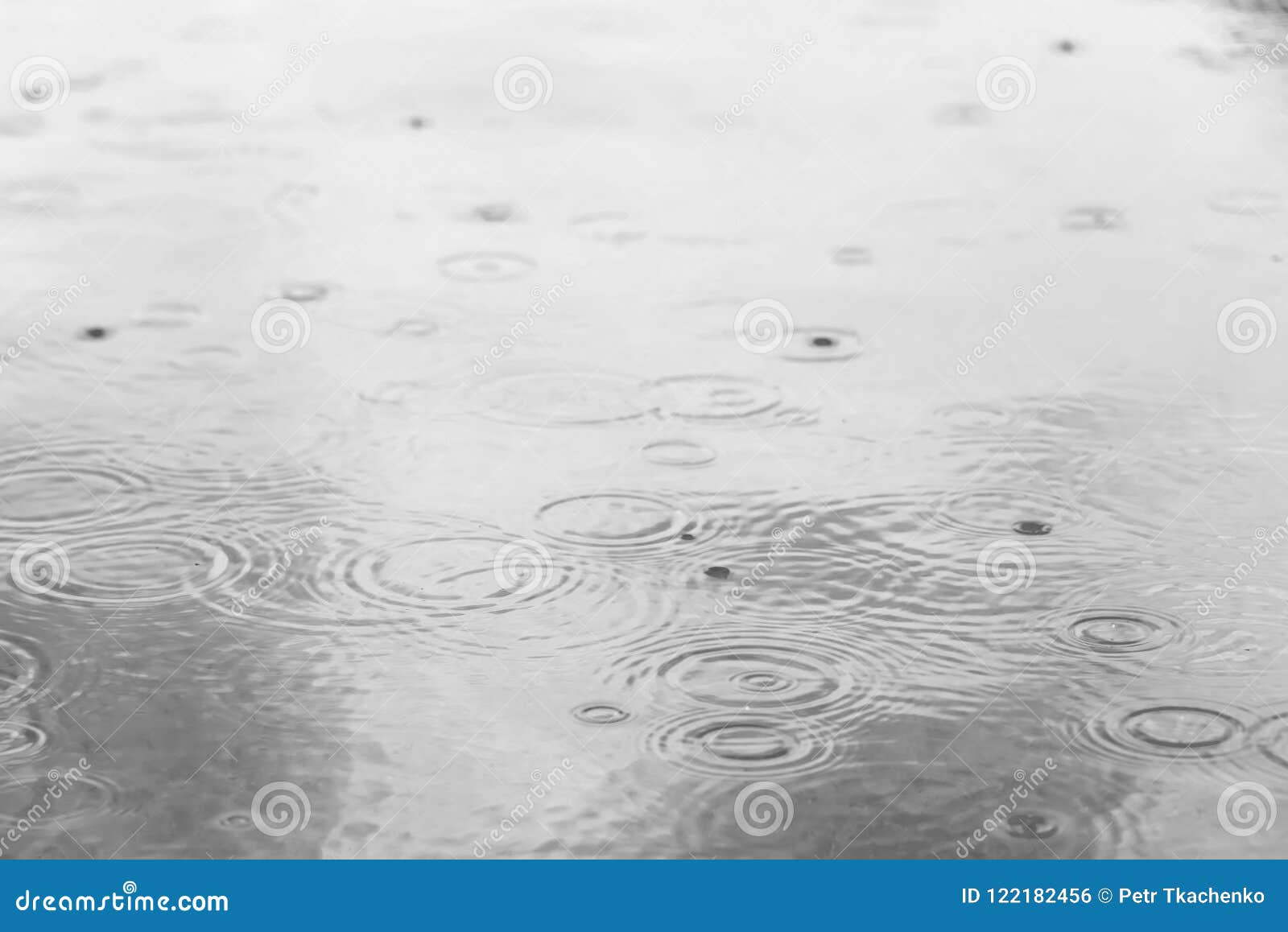 Raindrops on the water stock photo. Image of clean, drop - 122182456