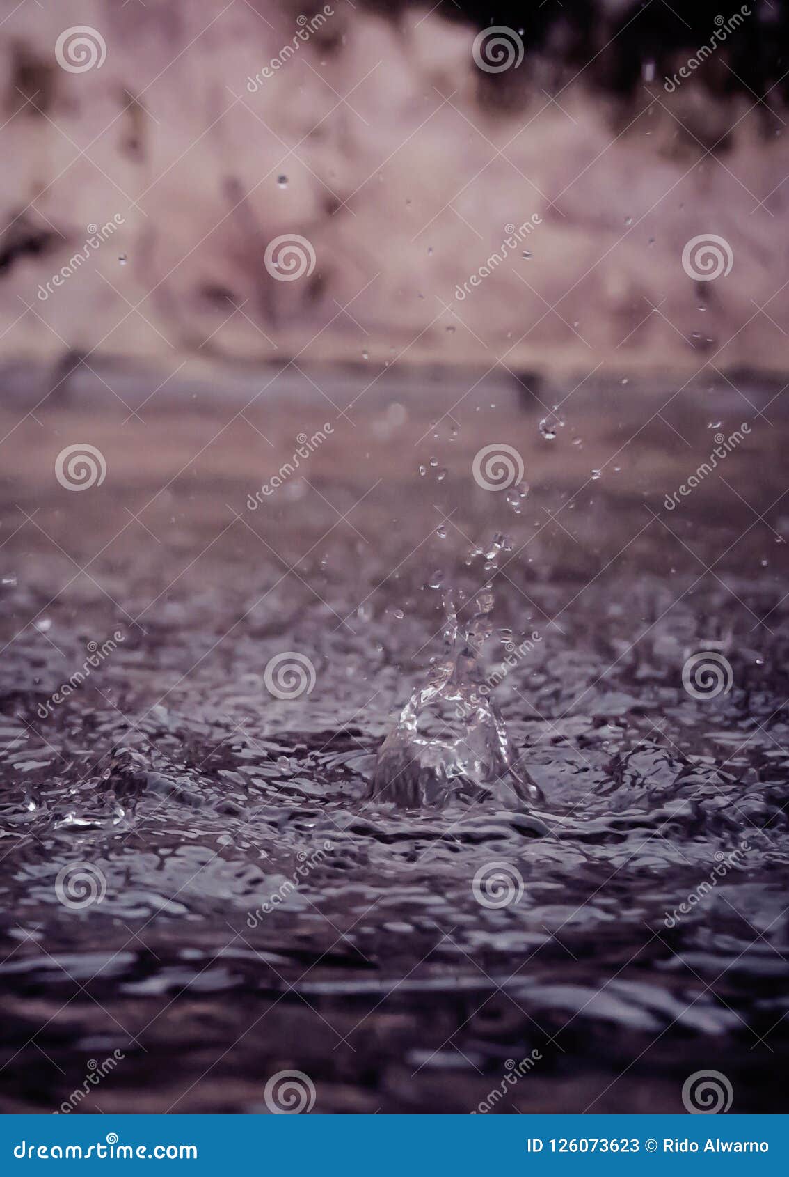 Raindrops Waterdrops in the Water Stock Image - Image of rain, weet ...