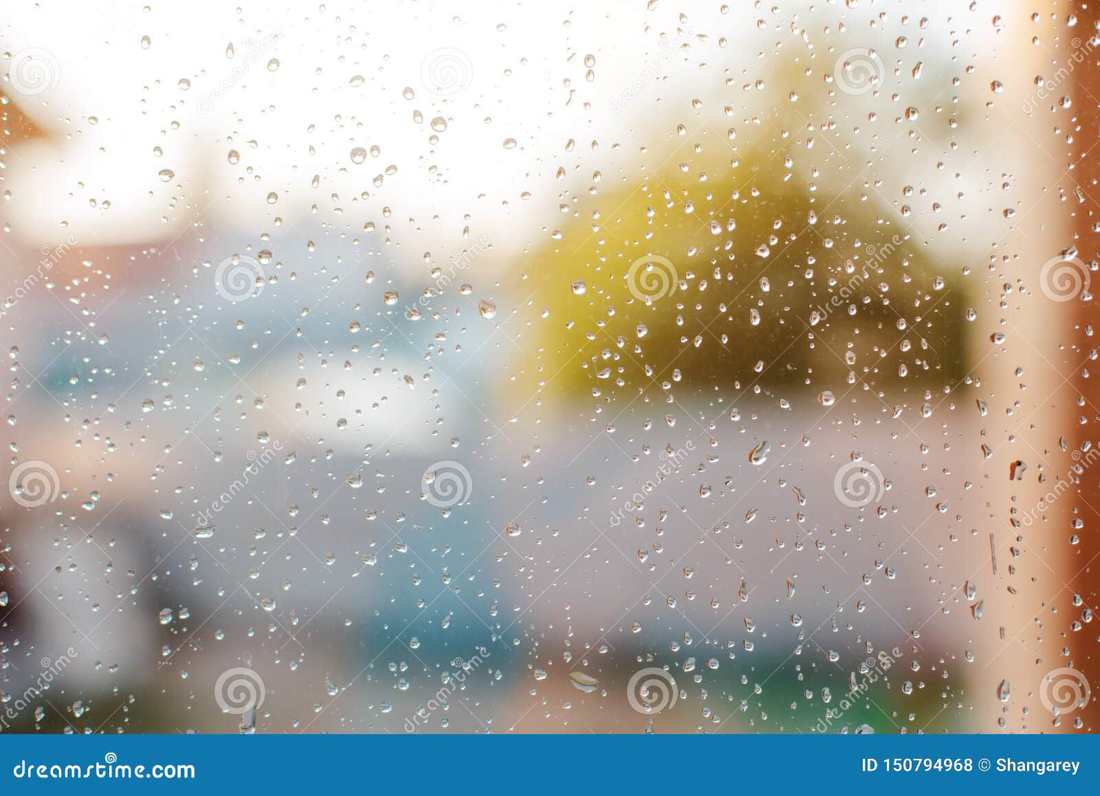 Raindrops on Wet Window with Green Tree and Sunlight in Background ...