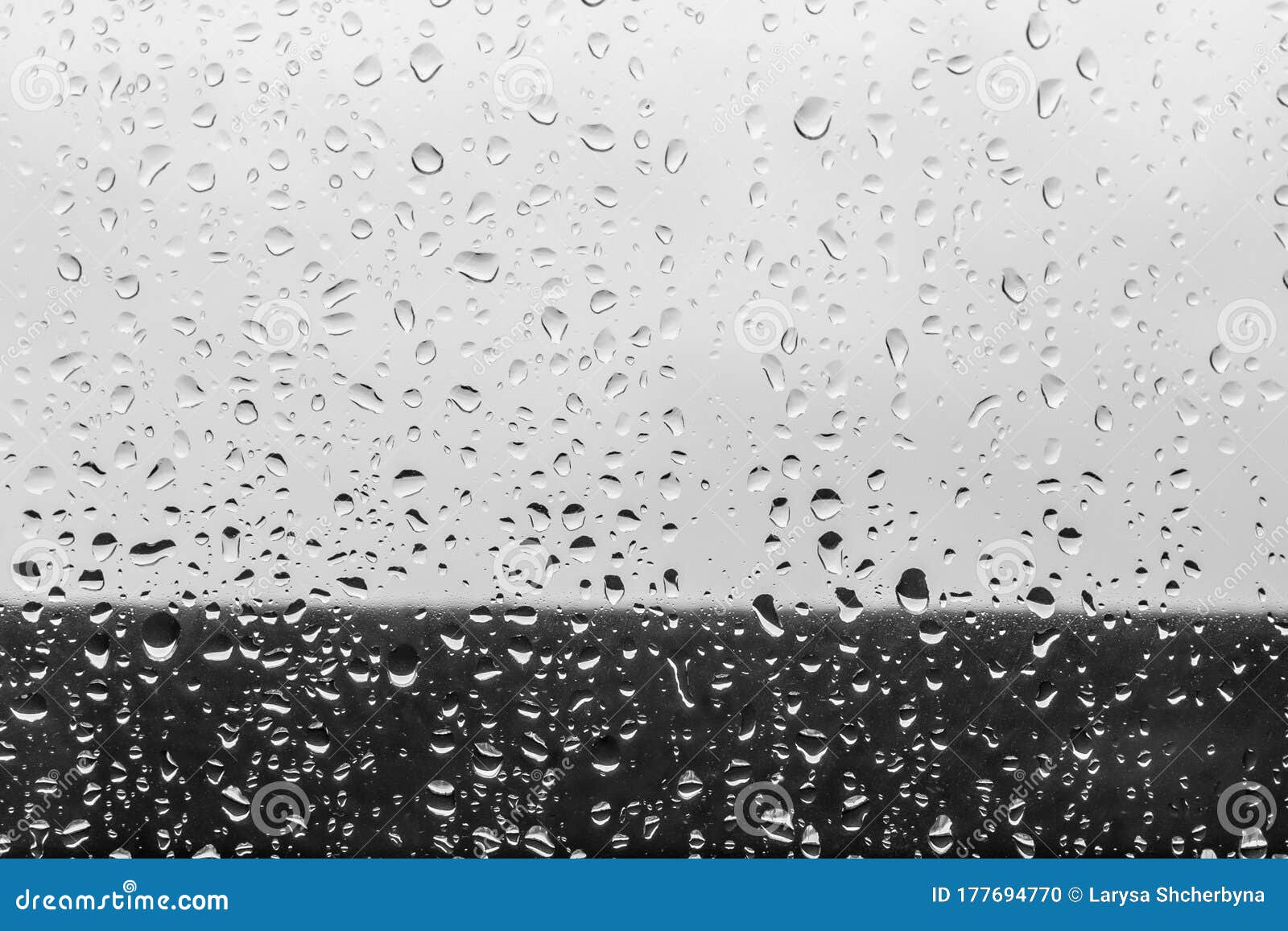 Raindrops on White and Black Background Stock Photo - Image of ...
