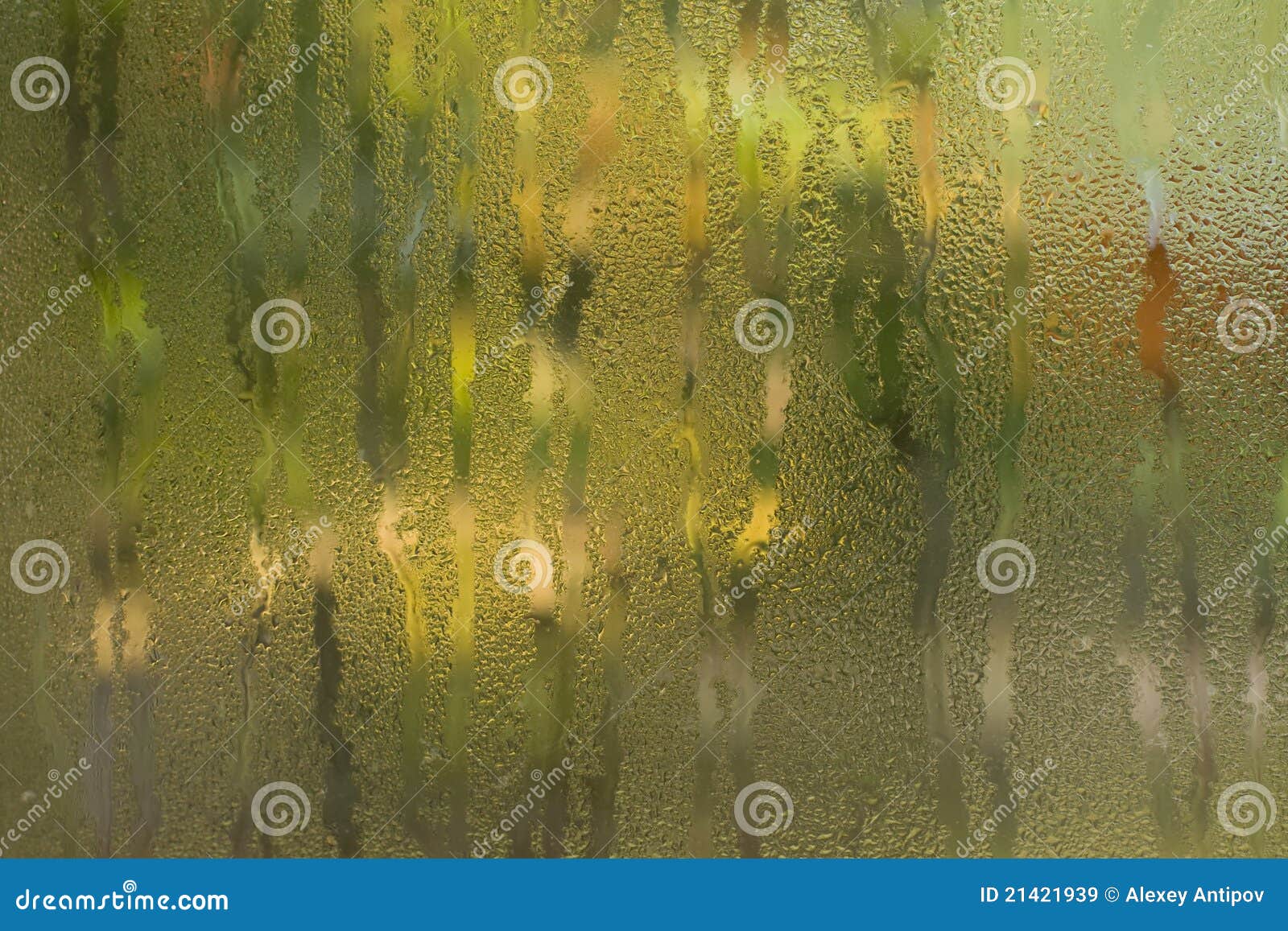 Raindrops on window stock image. Image of liquid, pluvial - 21421939