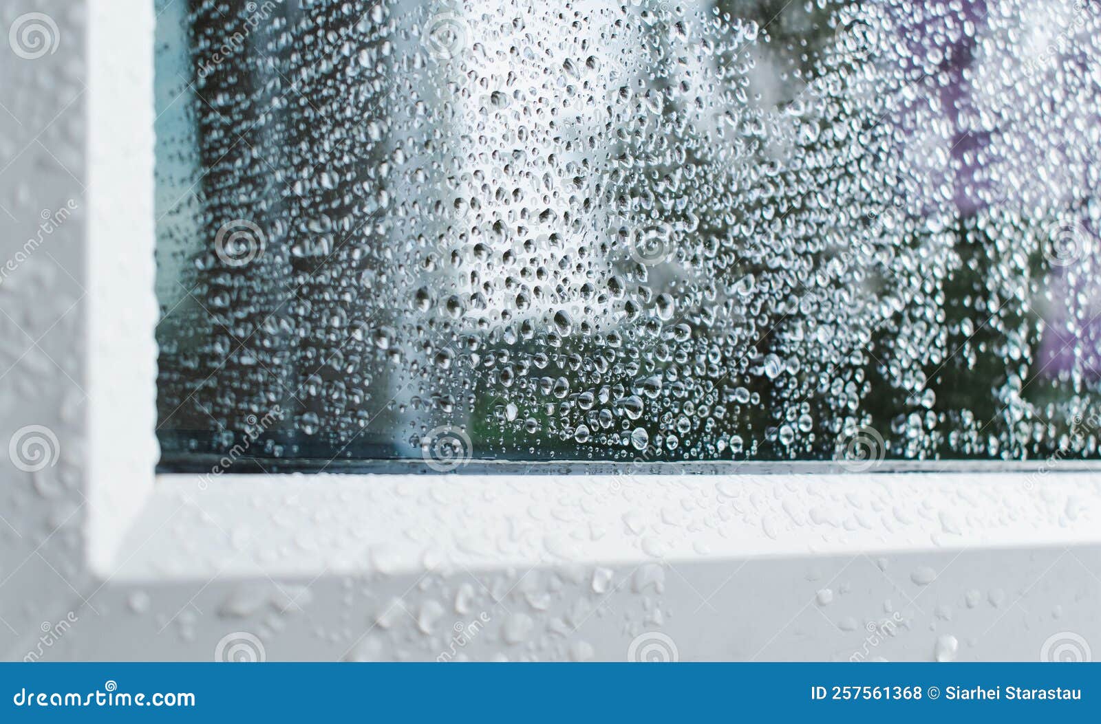 Raindrops on the window stock photo. Image of drop, aqua - 257561368