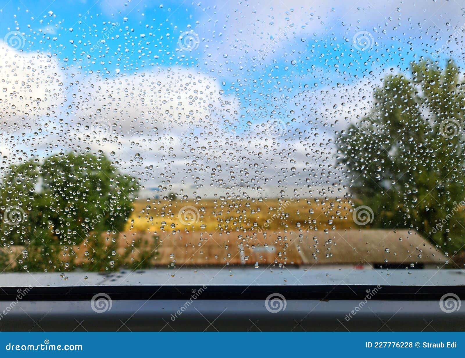 Raindrops on a window stock photo. Image of light, daytime - 227776228