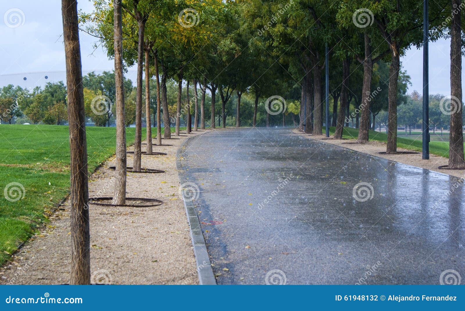 Park, Surrounded By Devastation And Debris From The Storm, With Broken ...