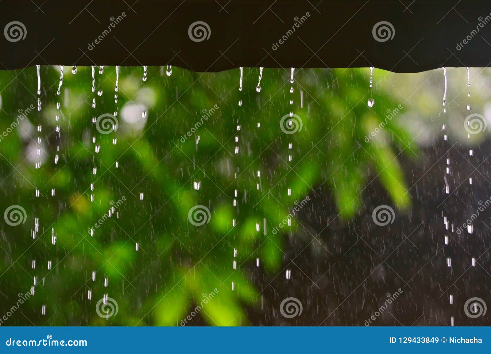 Rainfall is Falling on Rainy Day Stock Image - Image of background ...