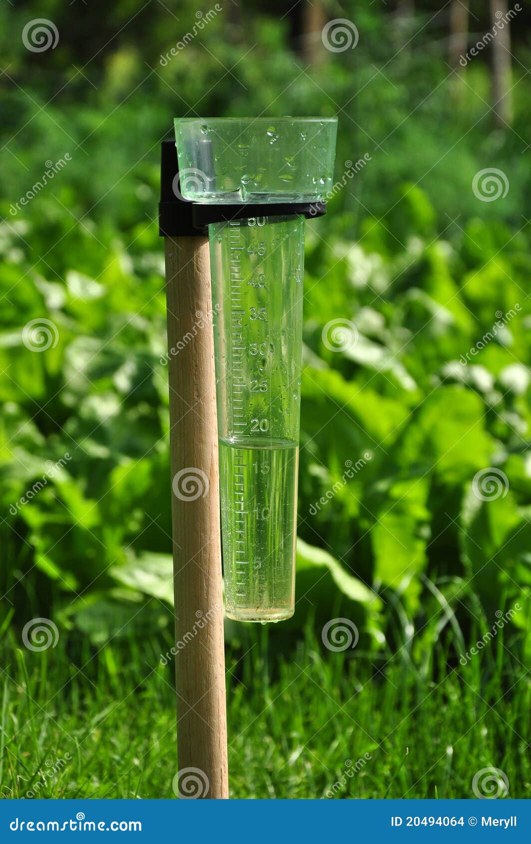 Rainfall measurement stock photo. Image of agriculture - 20494064