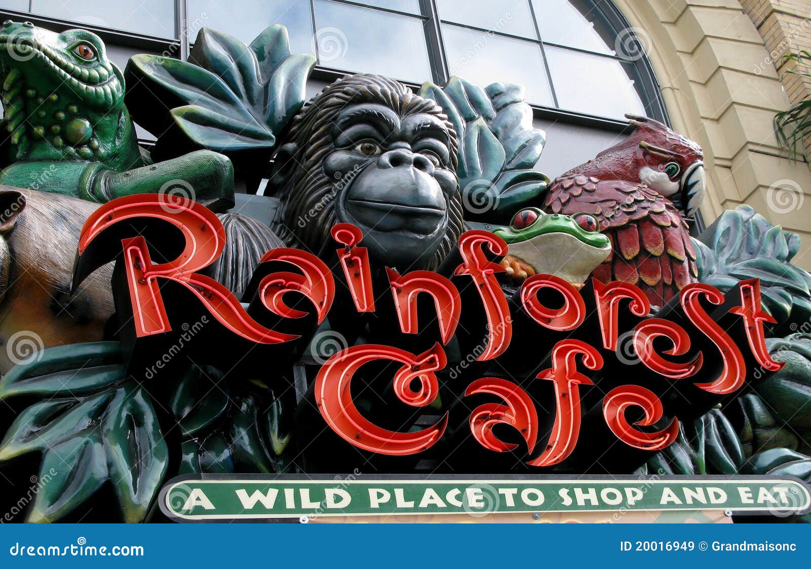 Rainforest cafe editorial stock image. Image of cafe - 20016949