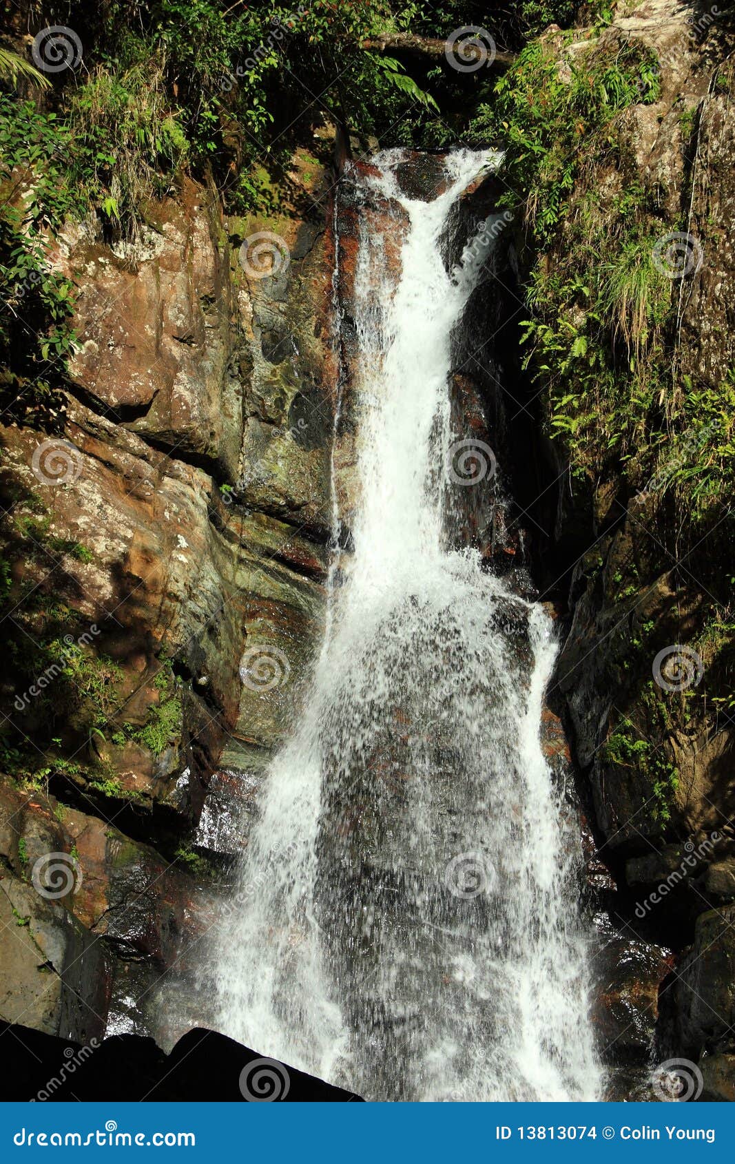 Rainforest Cascade stock photo. Image of outdoors, silky - 13813074