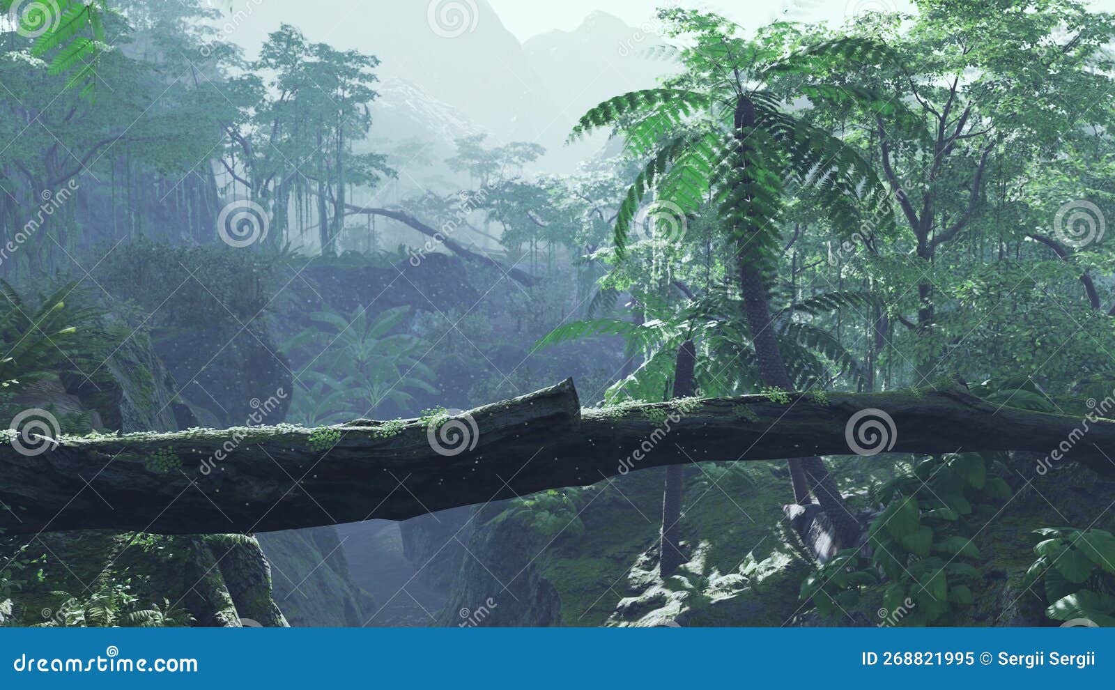 Rainforest Columbia Southern America Sunset Stock Illustration ...