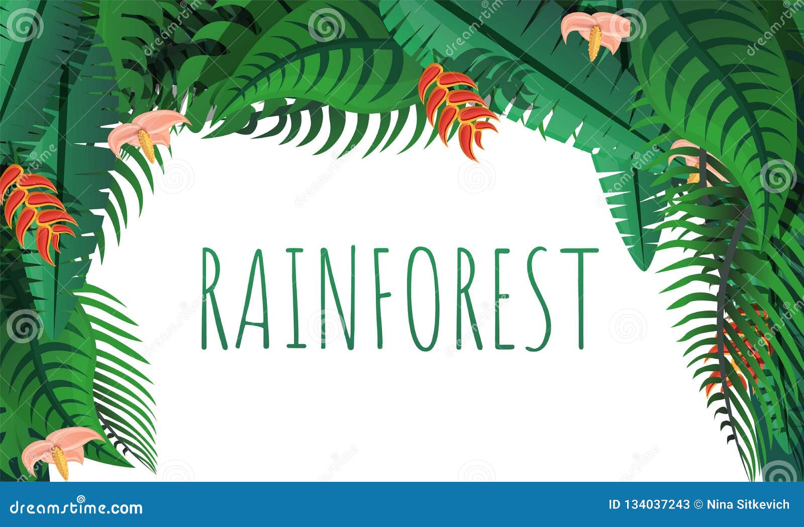 Rainforest Concept Banner, Cartoon Style Stock Vector - Illustration of ... Rainforest Concept Banner, Cartoon Style Stock Vector - Illustration of ...